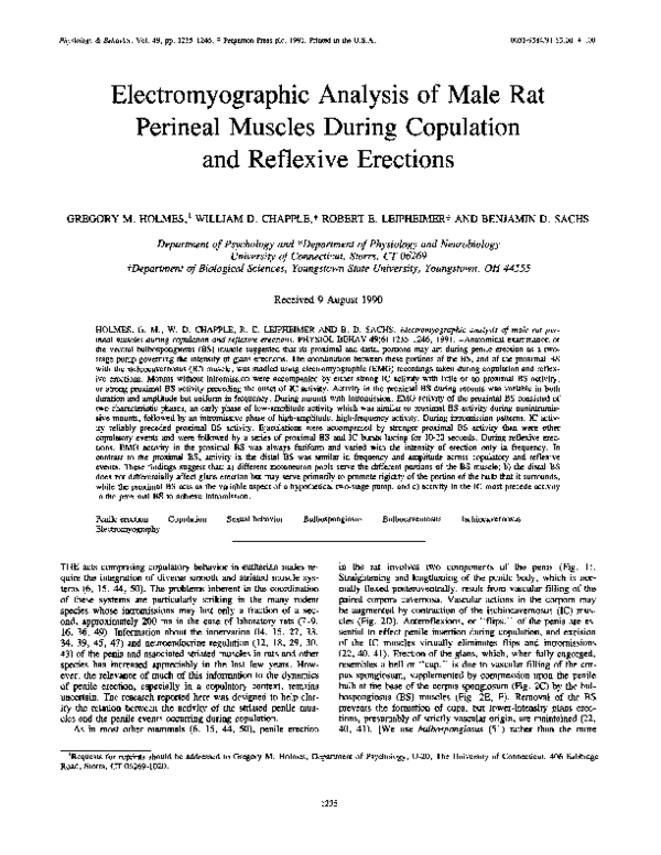 (PDF) Electromyographic analysis of male rat perineal muscles during ...