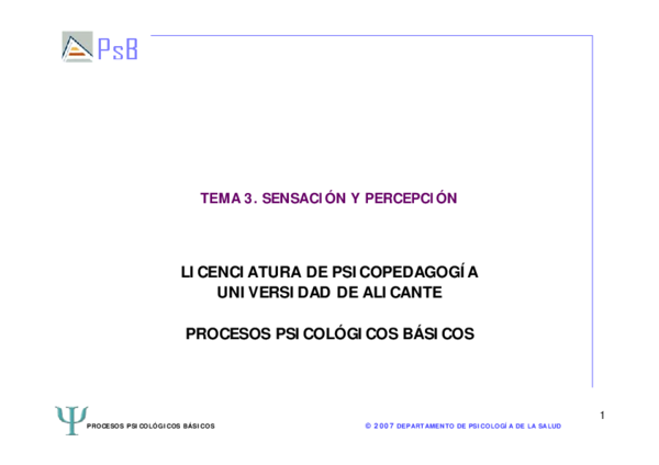 (PDF) PROCESOS PSICOLÓGICOS BÁSICOS TEMA 3. SENSACIÓN Y PERCEPCIÓN LICENCIATURA DE ...