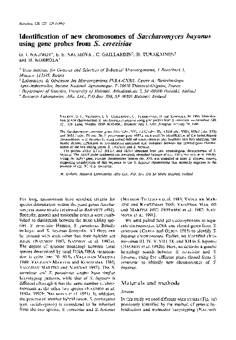 (PDF) Identification of New Chromosomes of Saccharomyces Bayanus Using ...