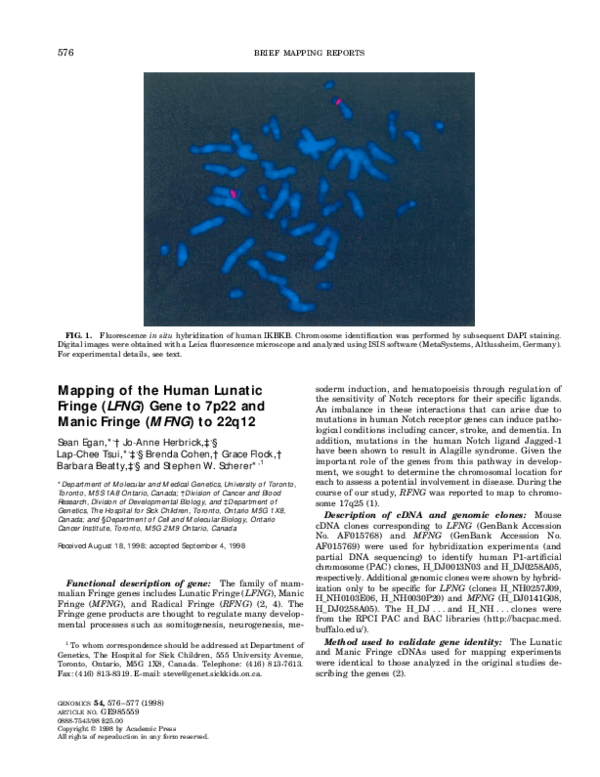 (PDF) Mapping of the Human Lunatic Fringe (LFNG) Gene to 7p22 and Manic ...