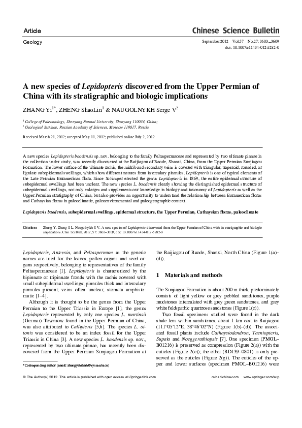 (PDF) A new species of Lepidopteris discovered from the Upper Permian ...