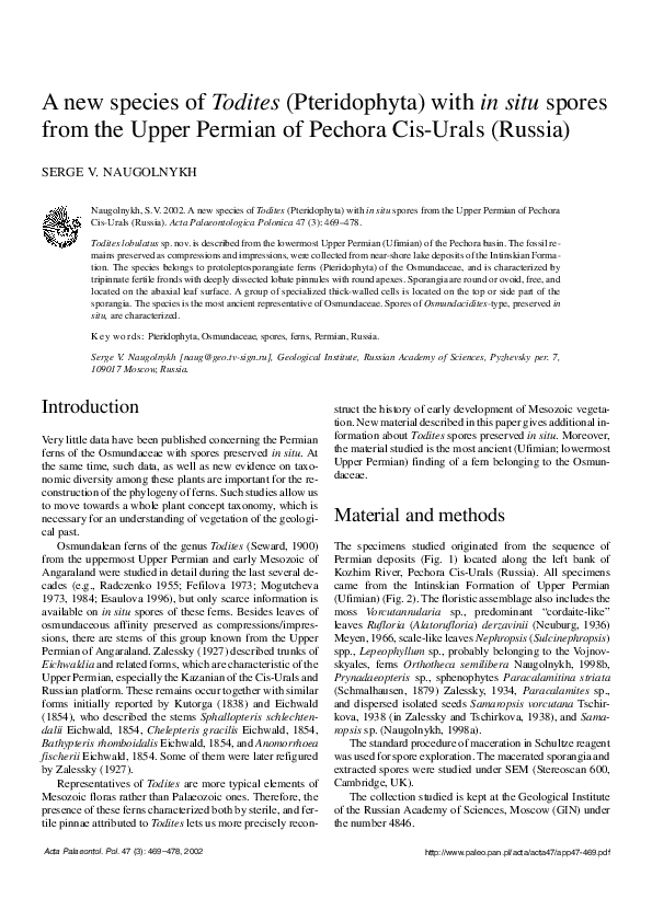 (PDF) A new species of Todites (Pteridophyta) with in situ spores from ...