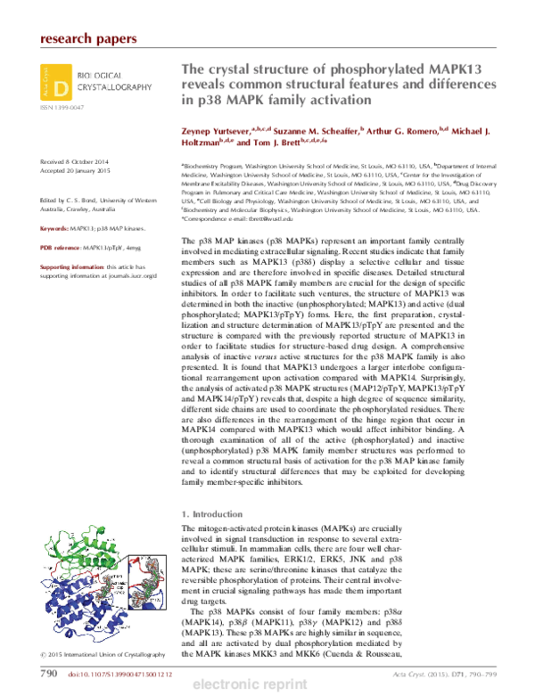 (PDF) The crystal structure of phosphorylated MAPK13 reveals common ...