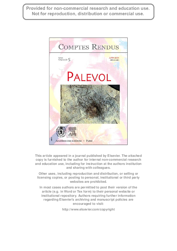 (PDF) Euclastes acutirostris, a new species of littoral turtle ...