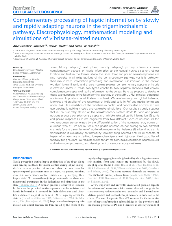 (PDF) Complementary processing of haptic information by slowly and ...