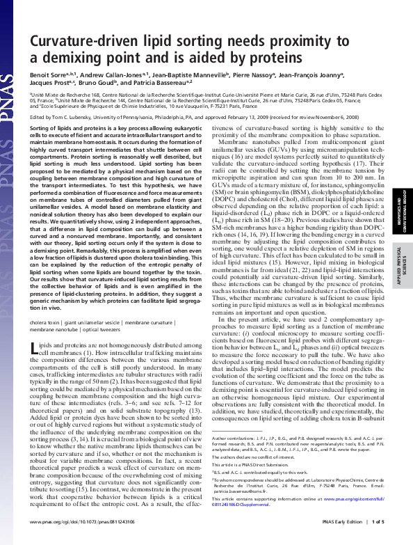 (PDF) Lipid Sorting In Membranes Nanotubes