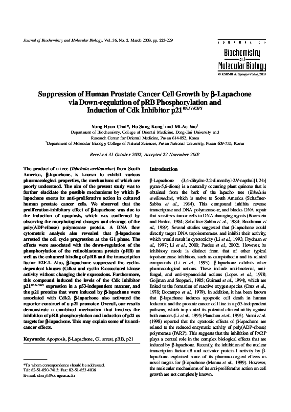 (PDF) Suppression of human prostate cancer cell growth by ciprofloxacin ...