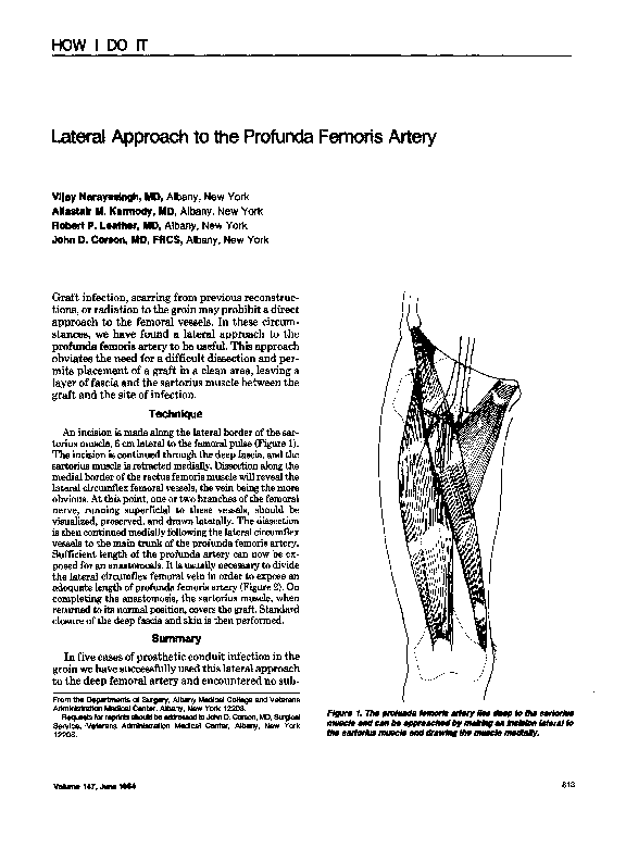 (PDF) Lateral approach to the profunda femoris artery