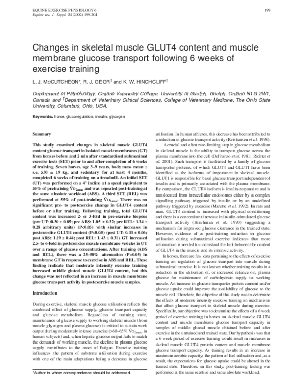 (PDF) Changes in skeletal muscle GLUT4 content and muscle membrane ...