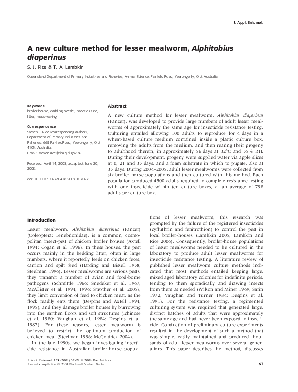 (PDF) A new culture method for lesser mealworm, Alphitobius diaperinus
