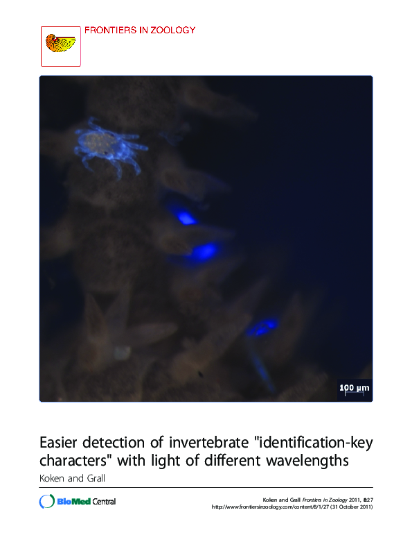 (PDF) Easier detection of invertebrate "identification-key characters ...