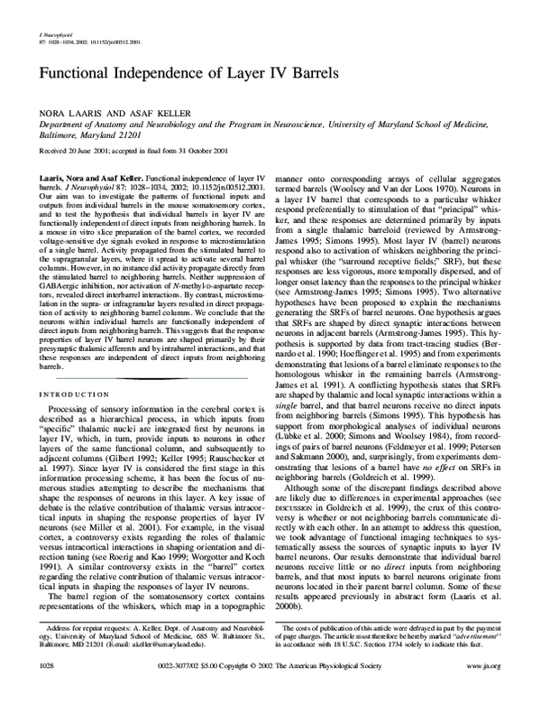 (PDF) Functional Independence of Layer IV Barrels