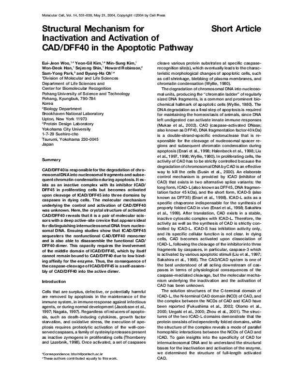 (PDF) Structural Mechanism for Inactivation and Activation of CAD/DFF40 ...