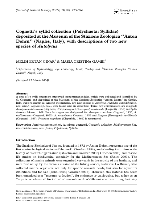 (PDF) Cognetti's syllid collection (Polychaeta: Syllidae) deposited at ...