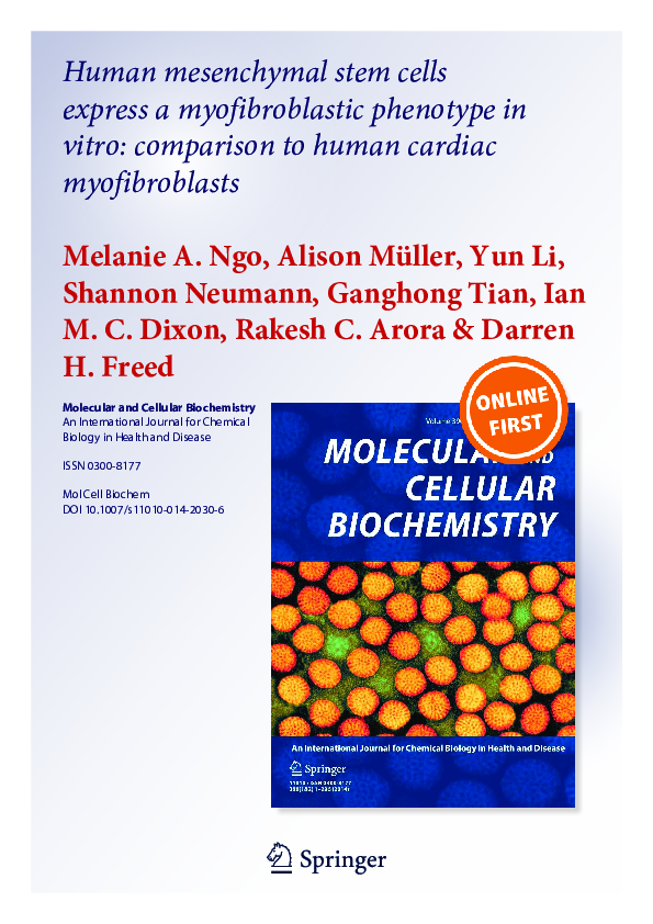 (PDF) Human mesenchymal stem cells express a myofibroblastic phenotype ...