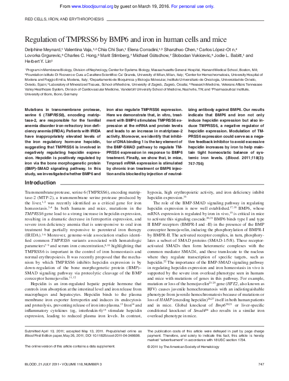 (PDF) Regulation of TMPRSS6 by BMP6 and iron in human cells and mice ...