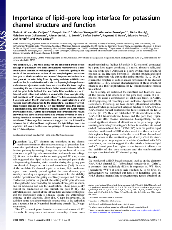 (PDF) Importance of lipid-pore loop interface for potassium channel ...