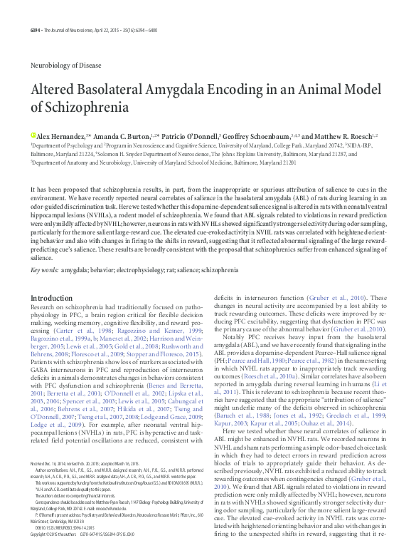(PDF) Altered basolateral amygdala encoding in an animal model of ...