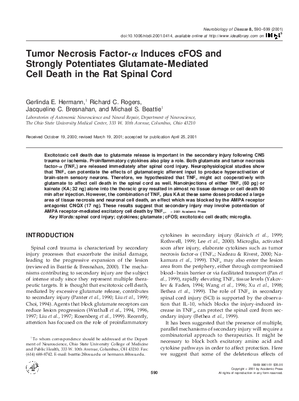 (PDF) Tumor Necrosis Factor-α Induces cFOS and Strongly Potentiates ...