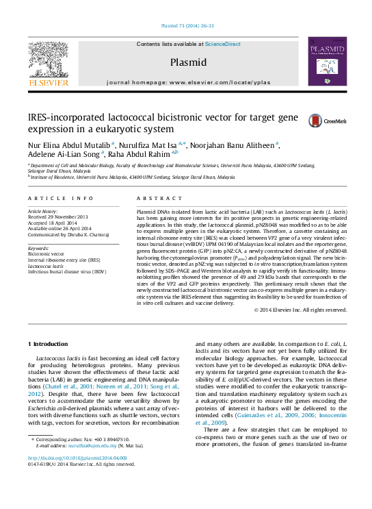 (PDF) IRES-incorporated lactococcal bicistronic vector for target gene ...