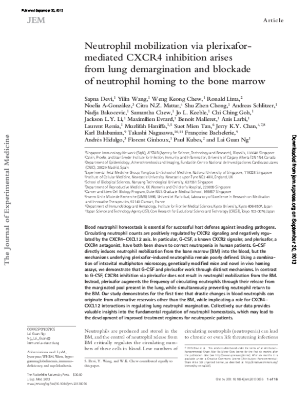 (PDF) Neutrophil mobilization via plerixafor-mediated CXCR4 inhibition ...