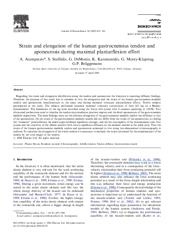(PDF) Strain and elongation of the human gastrocnemius tendon and ...