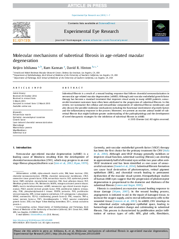 (PDF) Molecular mechanisms of subretinal fibrosis in age-related ...