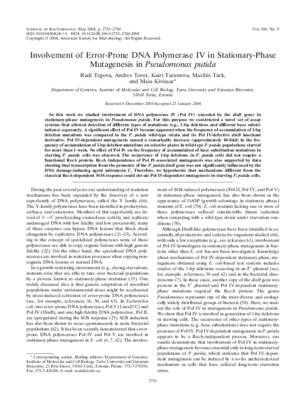 (PDF) Involvement of Error-Prone DNA Polymerase IV in Stationary-Phase ...