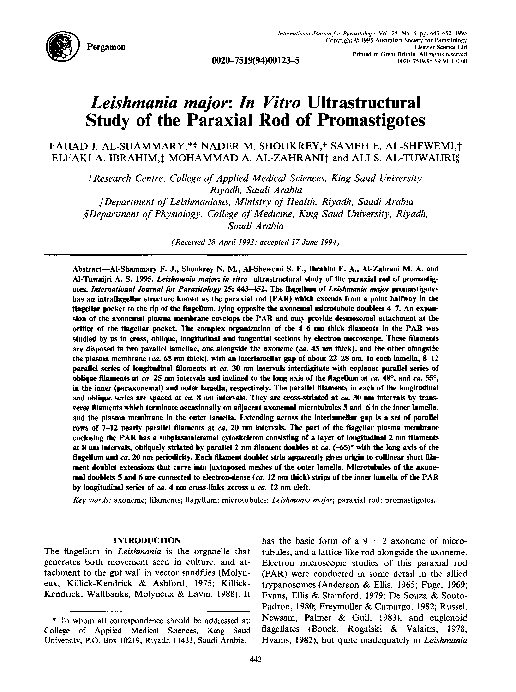 (PDF) Leishmania major: In vitro ultrastructural study of the paraxial ...