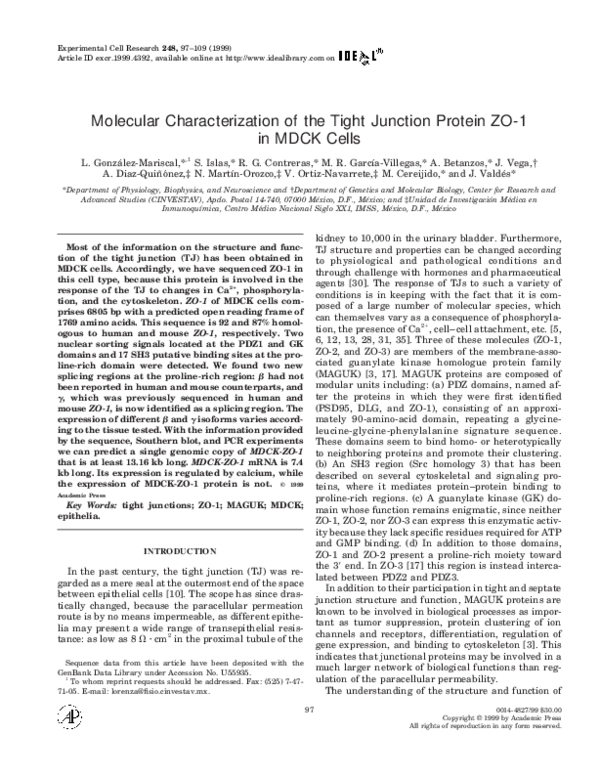 (PDF) Molecular Characterization of the Tight Junction Protein ZO-1 in ...