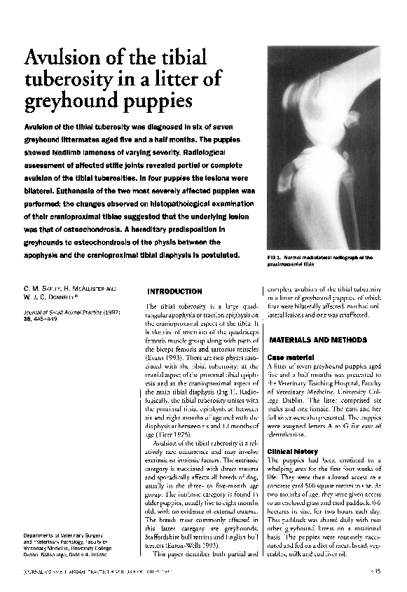 (PDF) Avulsion of the tibial tuberosity in a litter of greyhound puppies
