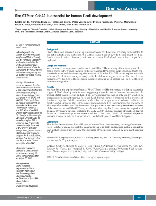 (PDF) Rho GTPase Cdc42 is essential for human T-cell development