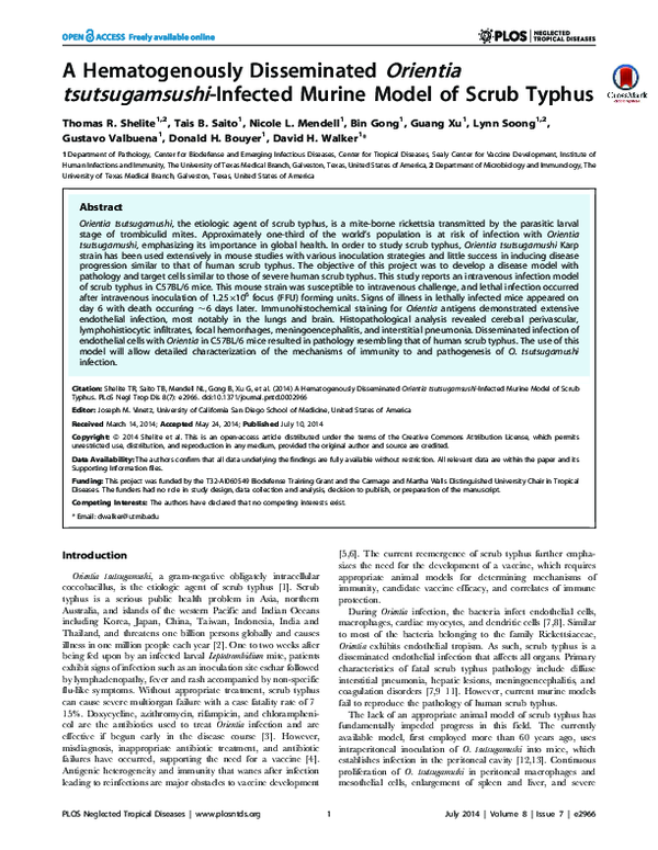 (PDF) A Hematogenously Disseminated Orientia tsutsugamsushi-Infected ...