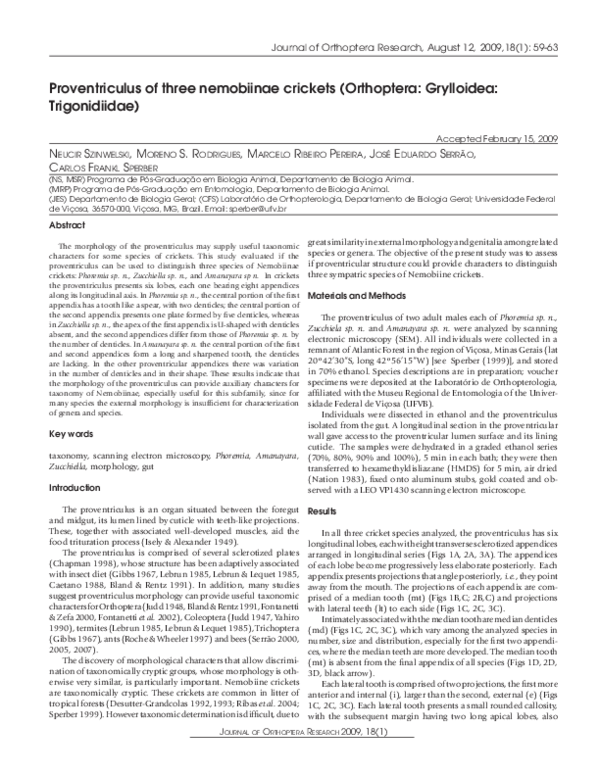 (PDF) Proventriculus of Three Nemobiinae Crickets (Orthoptera ...