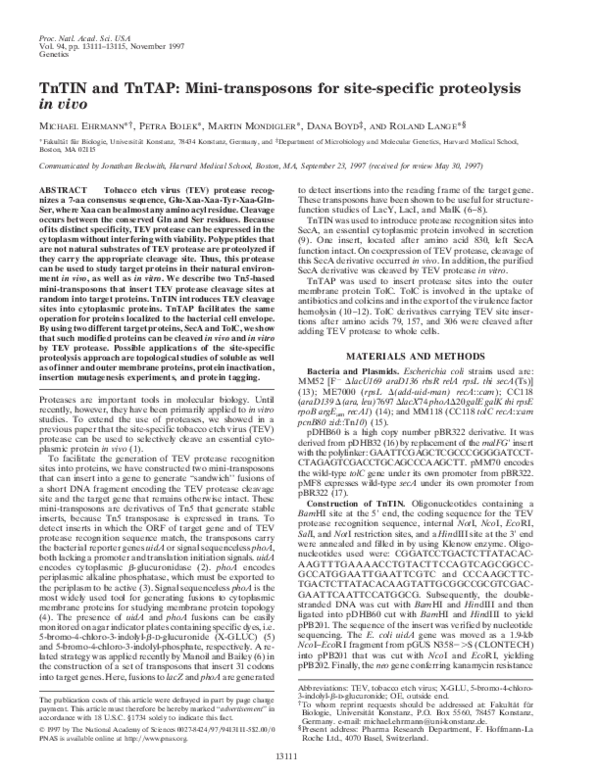 (PDF) TnTIN and TnTAP: Mini-transposons for site-specific proteolysis ...