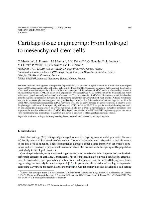 (PDF) Cartilage tissue engineering: From hydrogel to mesenchymal stem cells