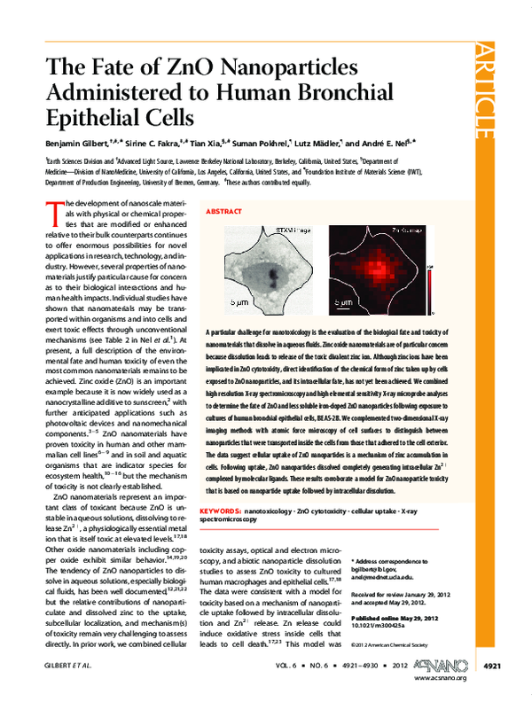 (PDF) The Fate of ZnO Nanoparticles Administered to Human Bronchial Epithelial Cells