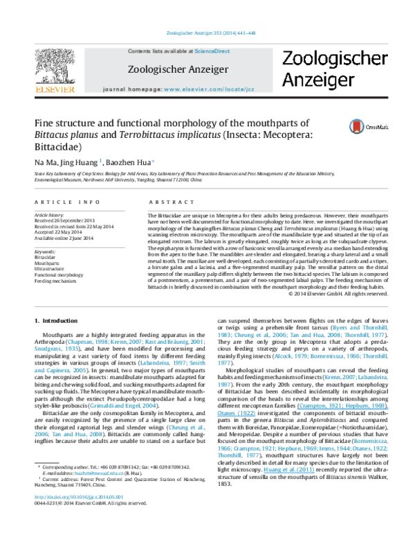(PDF) Fine structure and functional morphology of the mouthparts of a ...