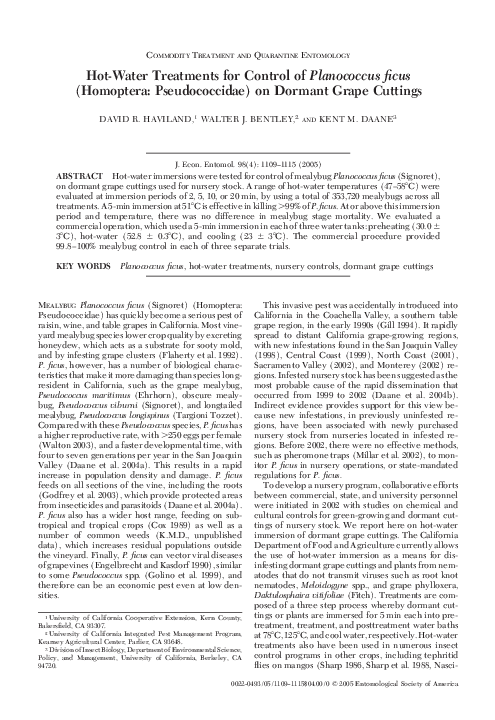 (PDF) Hot-Water Treatments for Control of Planococcus ficus (Homoptera ...