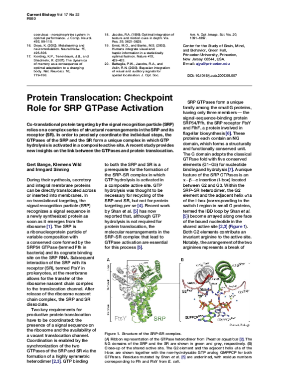 (PDF) Protein Translocation: Checkpoint Role for SRP GTPase Activation
