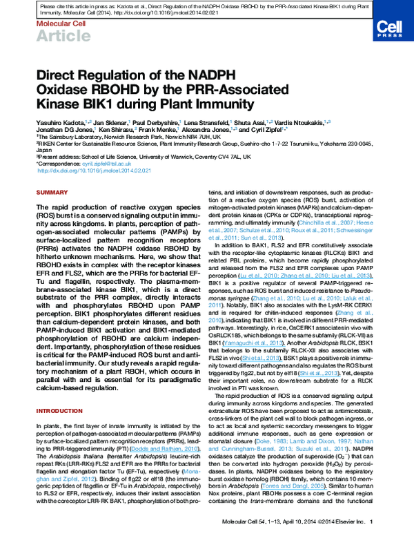 (PDF) Direct Regulation of the NADPH Oxidase RBOHD by the PRR ...