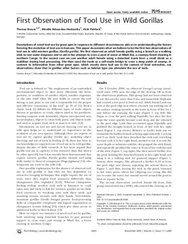 (PDF) First Observation of Tool Use in Wild Gorillas
