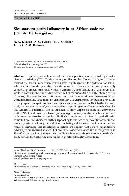 (PDF) Size matters: genital allometry in an African mole-rat (Family ...