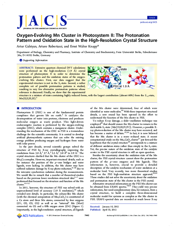 (PDF) Oxygen-Evolving Mn Cluster in Photosystem II: The Protonation ...