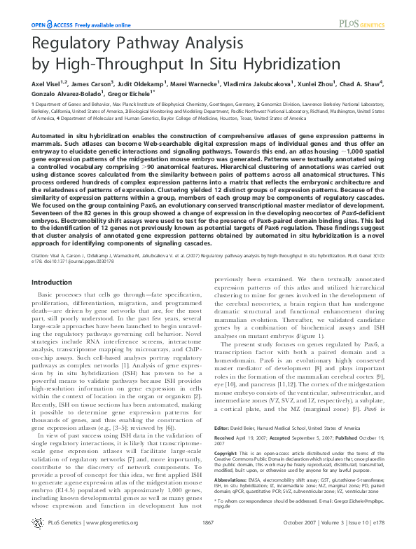 (PDF) Regulatory Pathway Analysis by High-Throughput In Situ Hybridization