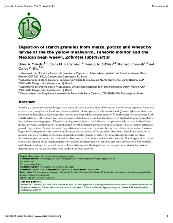 (PDF) Digestion of Starch Granules from Maize, Potato and Wheat by ...