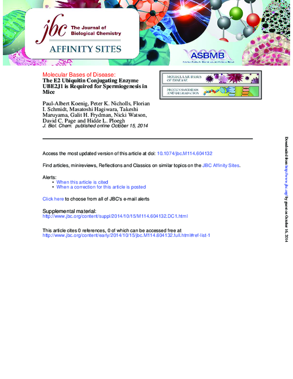 Pdf The E2 Ubiquitin Conjugating Enzyme Ube2j1 Is Required For