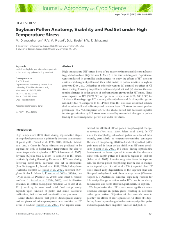 (PDF) Soybean Pollen Anatomy, Viability and Pod Set under High ...