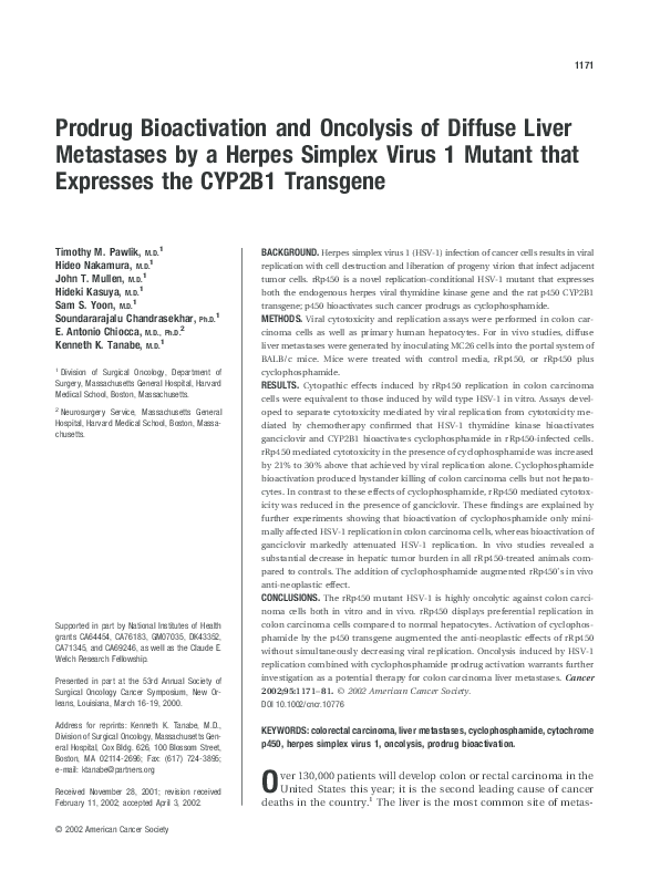 (PDF) Prodrug bioactivation and oncolysis of diffuse liver metastases ...