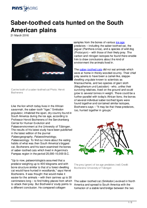 (PDF) Saber-toothed cats hunted on the South American plains